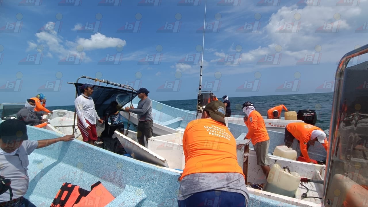 Operativo en altamar en Río Lagartos
